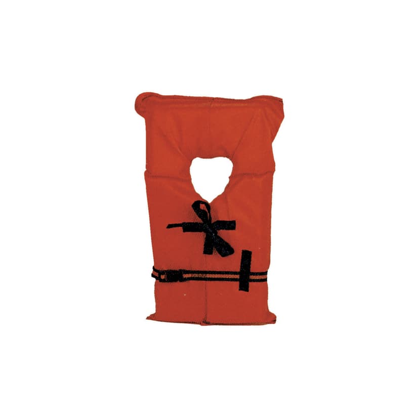 Child Type II Life Vest 30-50 lbs.