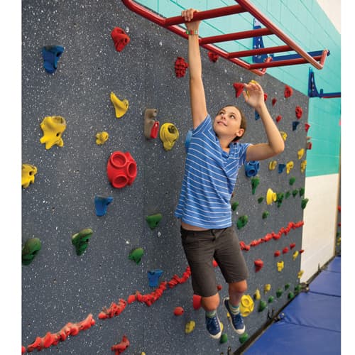 Safari Jungle Gym - Climbing Add-Ons - Monkey Bars